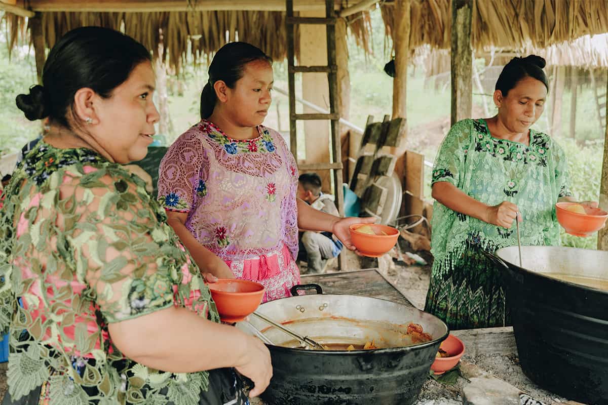 Reforestation Project In Guatemala | zeroCO2