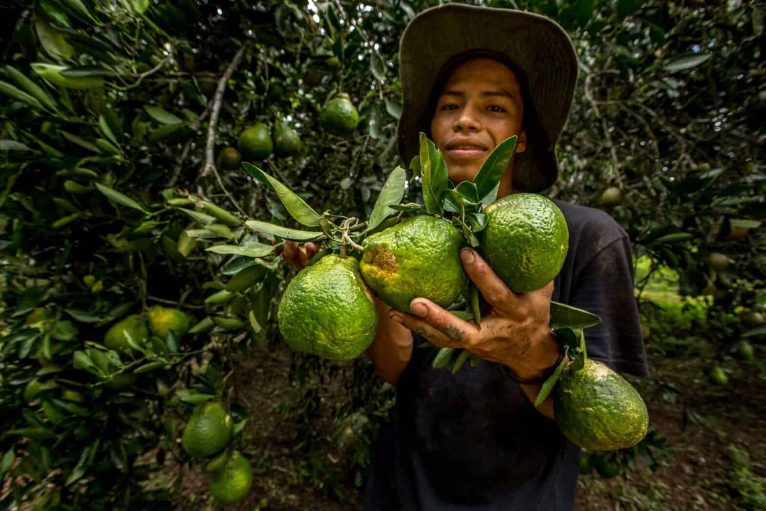 Amazon Forest Recovery Project In Peru | zeroCO2