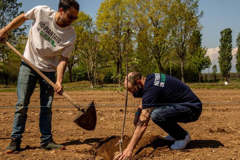 Sustainable Team Building: Motivation and Sustainability in your the ...