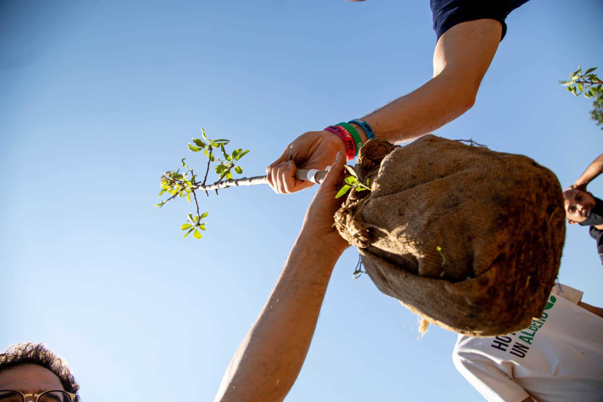 Sustainable Team Building: Motivation and Sustainability in your the ...