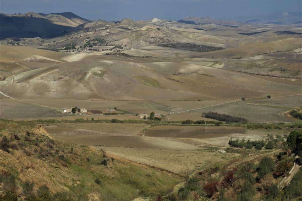 Desertification: a global phenomenon with local solutions - zeroCO2