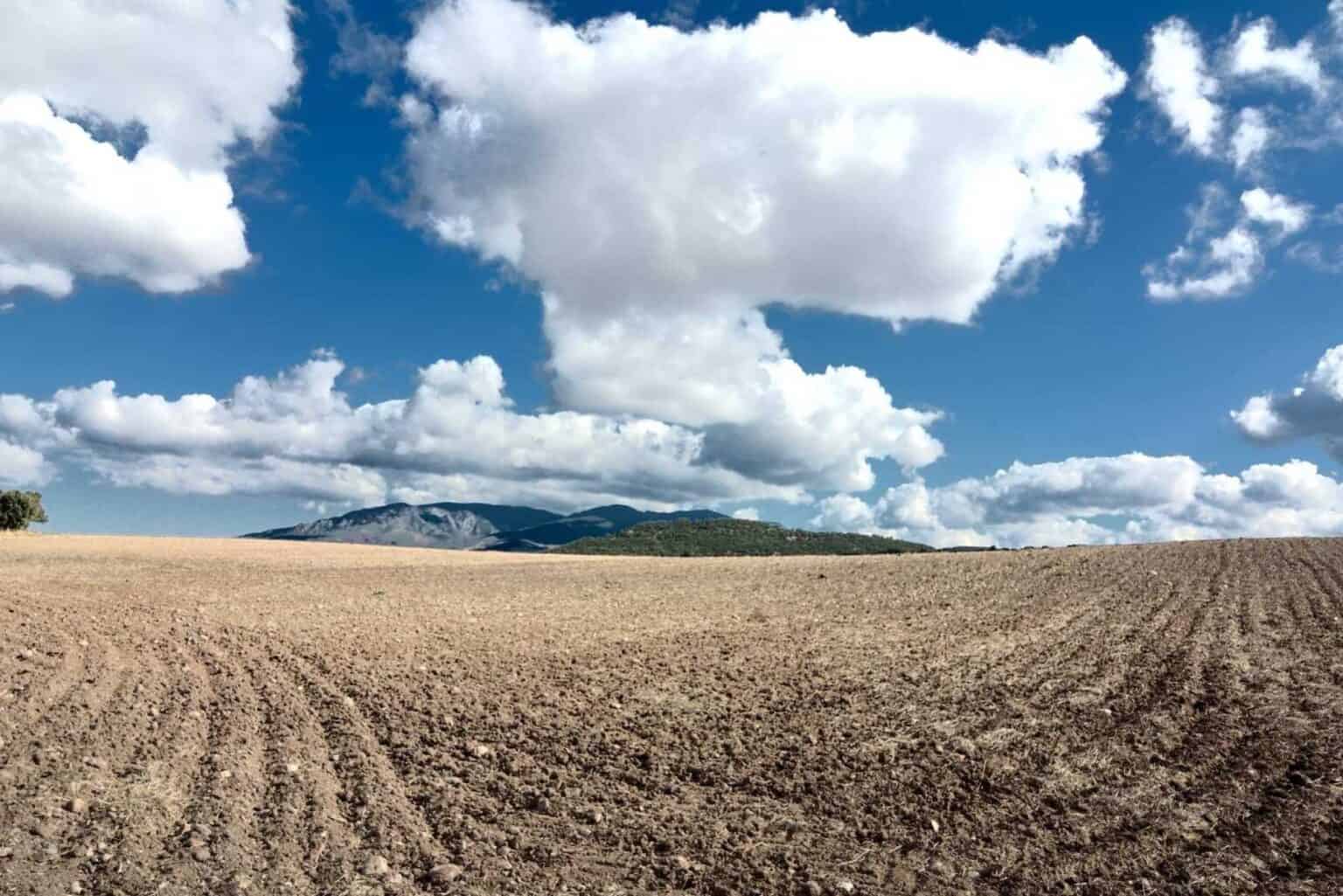 What is CO2 equivalent (CO2e) and how is it calculated?- zeroCO2