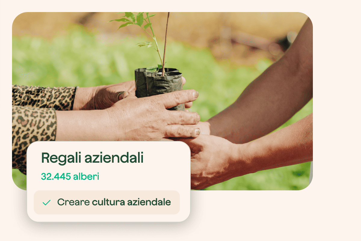 Cos'è il Net Zero e come si differenzia dalla carbon neutrality?