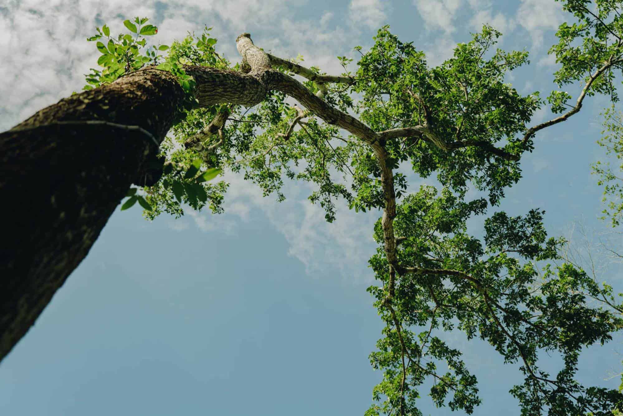 Landing LABO Suisse - zeroCO2