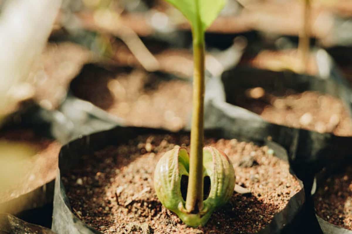 Landing LABO Suisse - zeroCO2