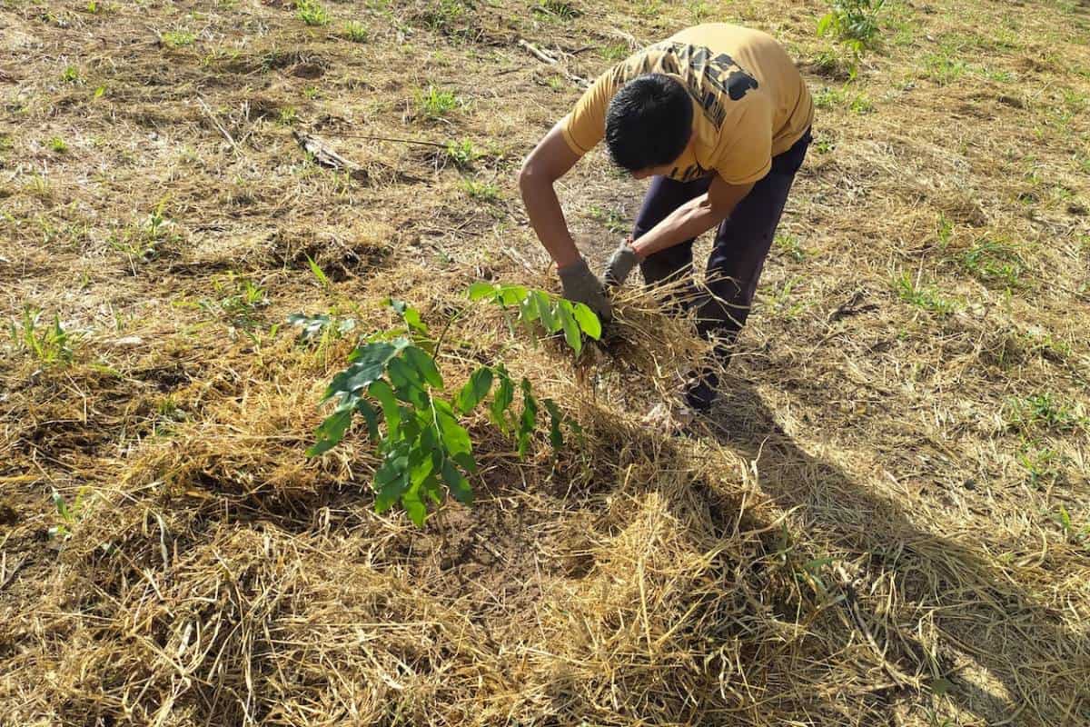 Landing LABO Suisse - zeroCO2