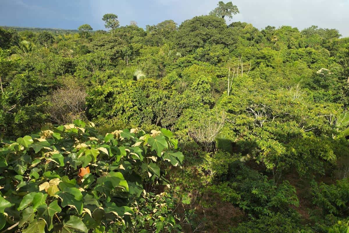 Landing LABO Suisse - zeroCO2