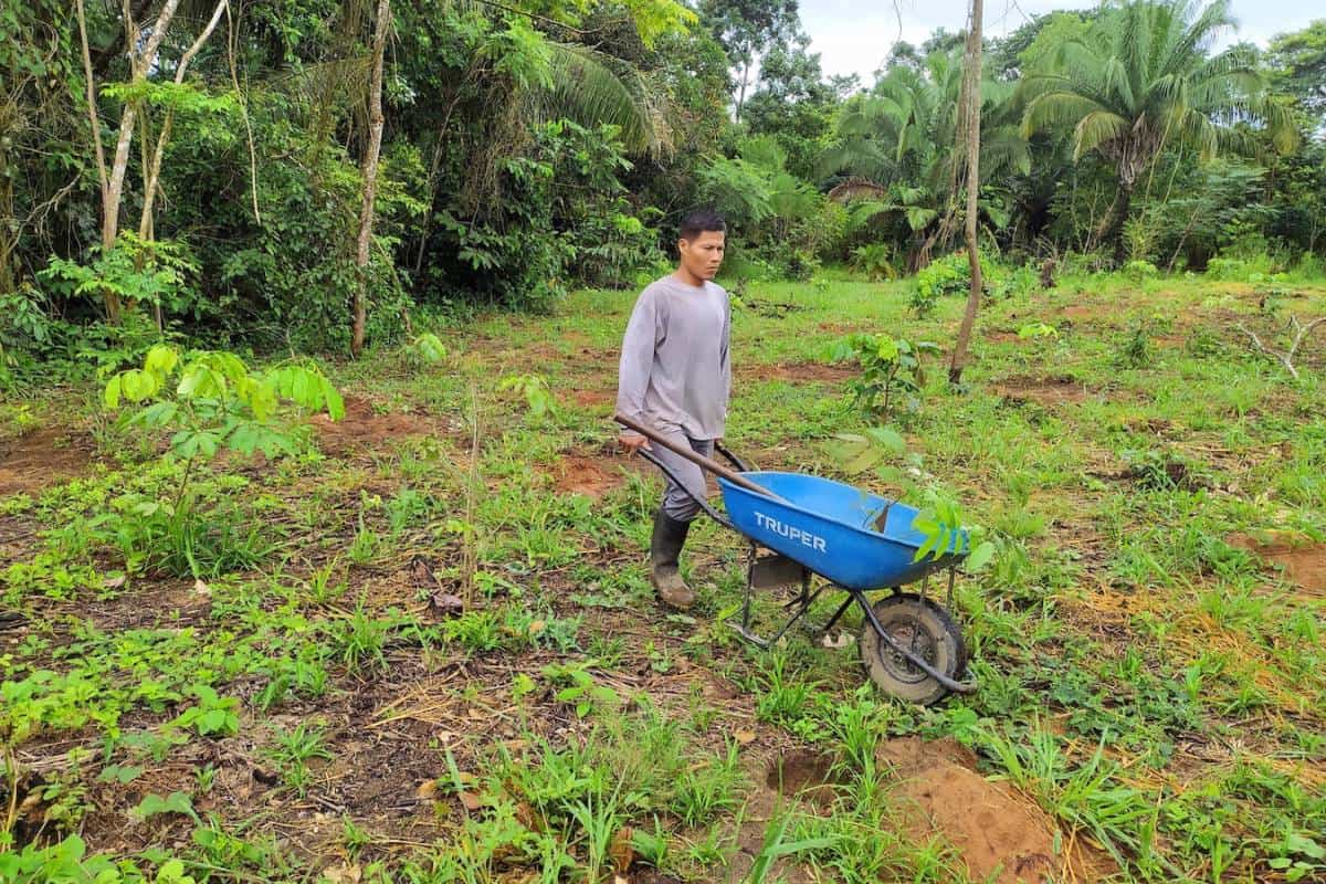 Landing LABO Suisse - zeroCO2