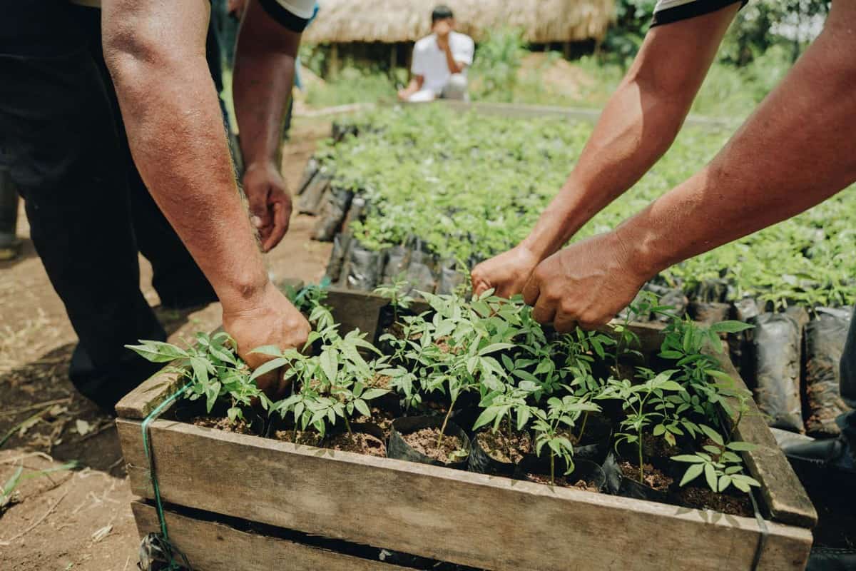 Landing LABO Suisse - zeroCO2
