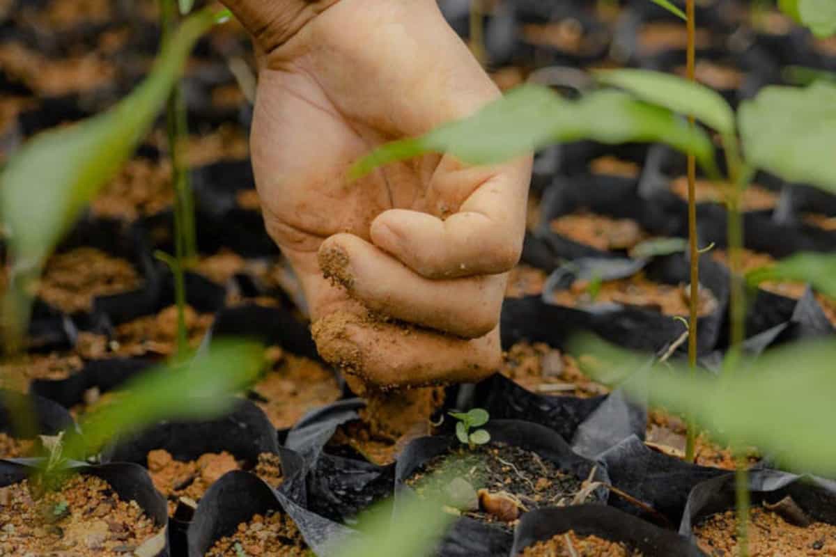 Landing LABO Suisse - zeroCO2