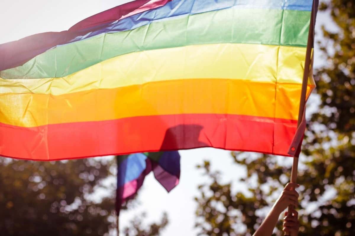 LGBTQ+ and environmental movement. What do they have in common? - zeroCO2